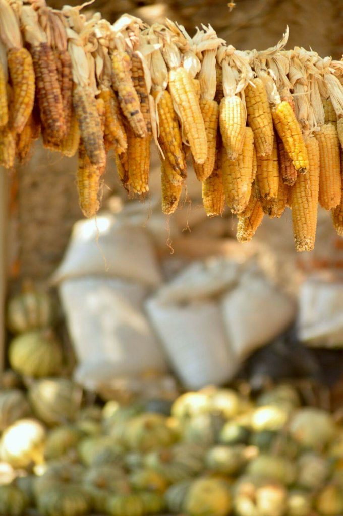 Jaliscocina - Huachales, una forma de conservar el maíz