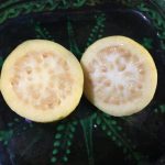 Jaliscocina - Guayabate, un dulce de verano con aroma histórico