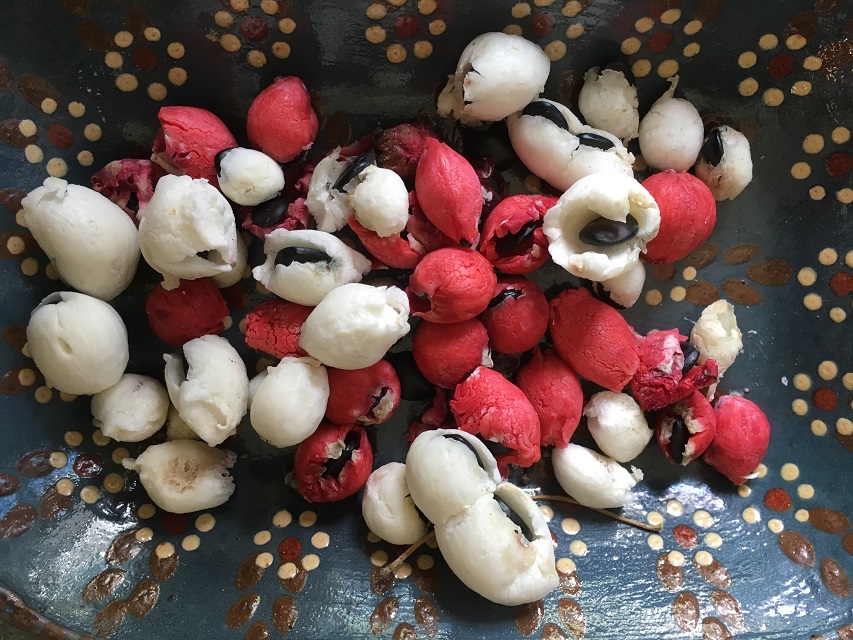 Jaliscocina - La Semana Santa, la primavera: el cambio del sol…