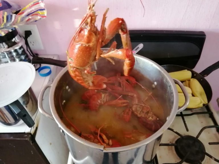 Jaliscocina - Los chacales de río, una intensa delicia