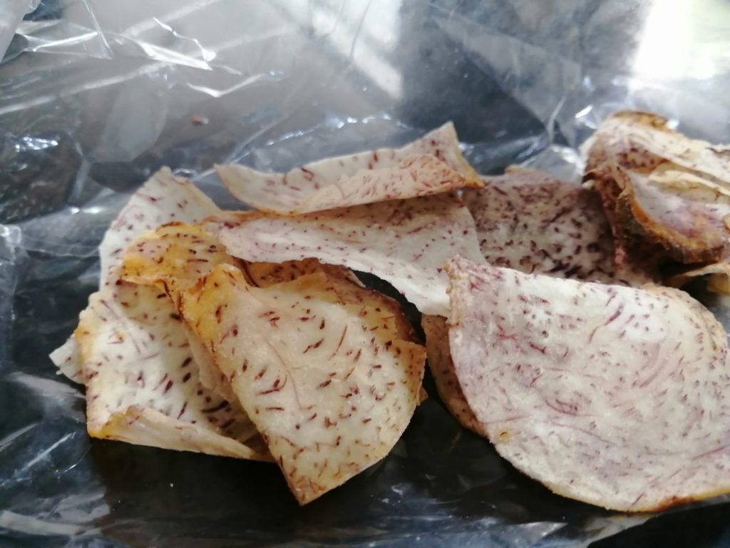 Jaliscocina - Malanga, el tubérculo nutritivo